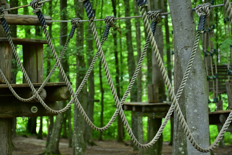 5 Awesome Rope Courses for Team Building Around Vancouver, BC